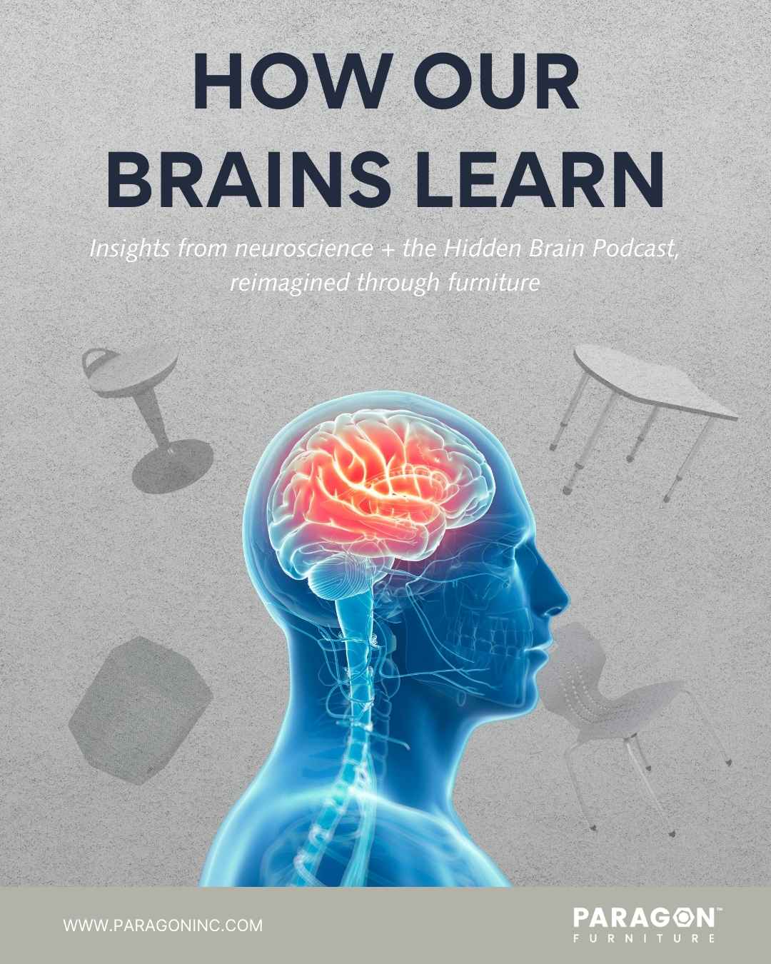 How Our Brains Learn - Flexible School Furniture | Classroom ...